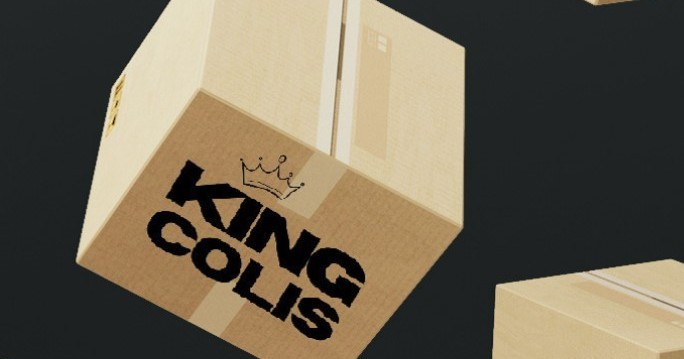 THE “LOST PARCELS” ARRIVE IN DENMARK – Steen & Strom