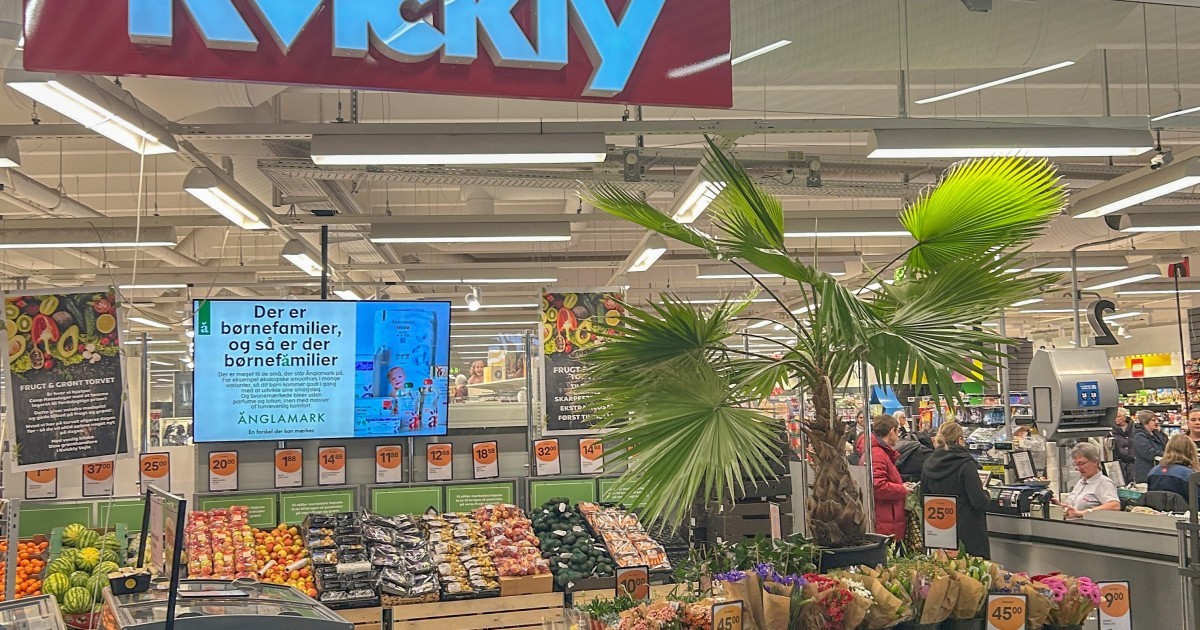 KVICKLY IN BRYGGEN PRESENTS A MILLION DKK PROFIT IN THEIR FIRST ...
